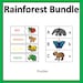 Rainforest Math & Literacy | Digital Download Products | Teacher ...