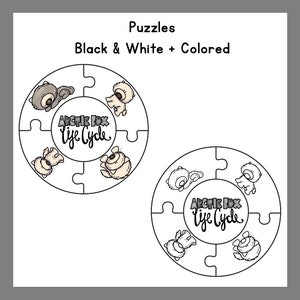 Arctic Fox Life Cycle | Digital Download Products | Teacher Resources ...