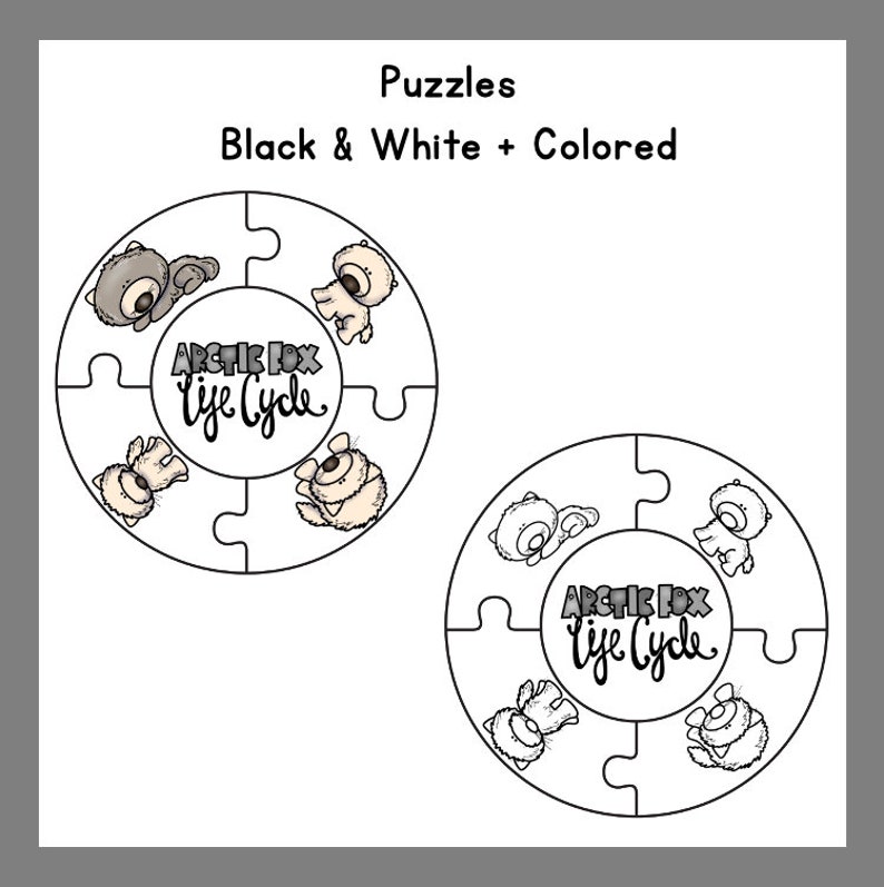Arctic Fox Life Cycle | Digital Download Products | Teacher Resources ...