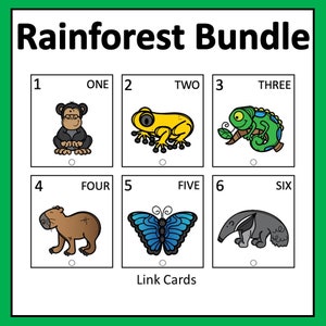 Rainforest Math & Literacy | Digital Download Products | Teacher ...