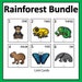 Rainforest Math & Literacy | Digital Download Products | Teacher ...