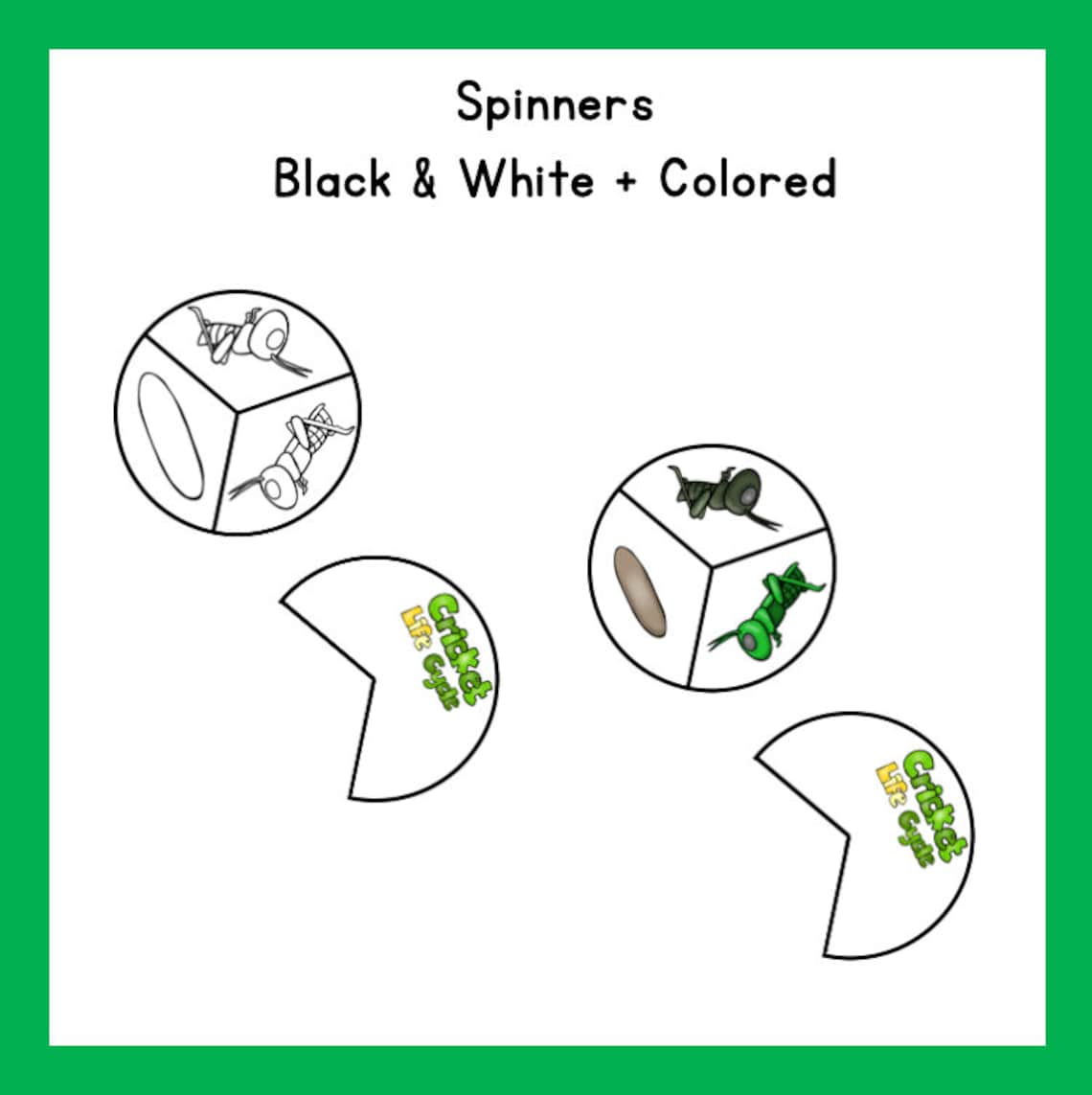 Cricket Life Cycle | Digital Download Products | Teacher Resources - Etsy