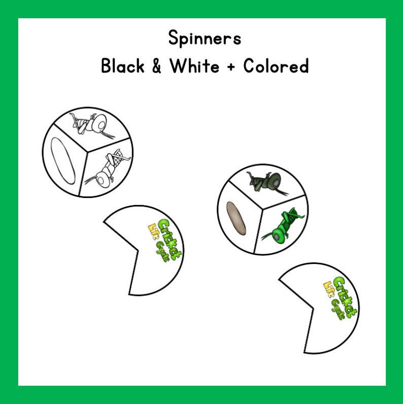 Cricket Life Cycle | Digital Download Products | Teacher Resources - Etsy