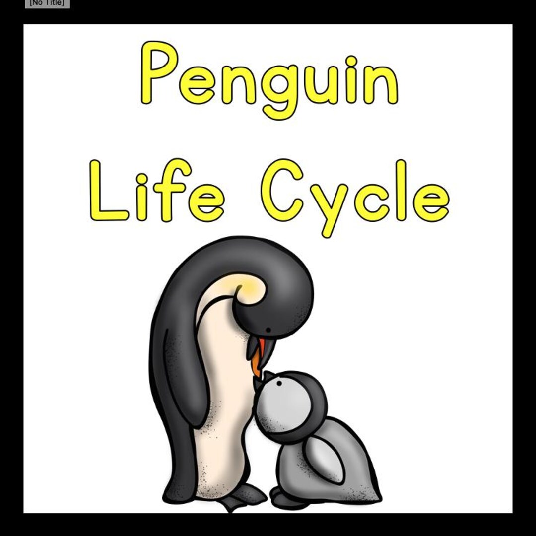 Penguin Life Cycle | Digital Download Products | Teacher Resources - Etsy
