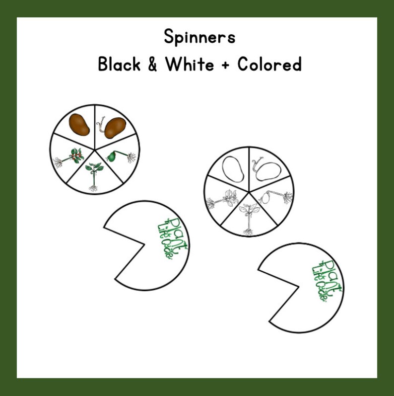 Plant Life Cycle Digital Download Products Teacher Resources - Etsy