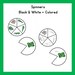 Frog Life Cycle | Digital Download Products | Teacher Resources - Etsy