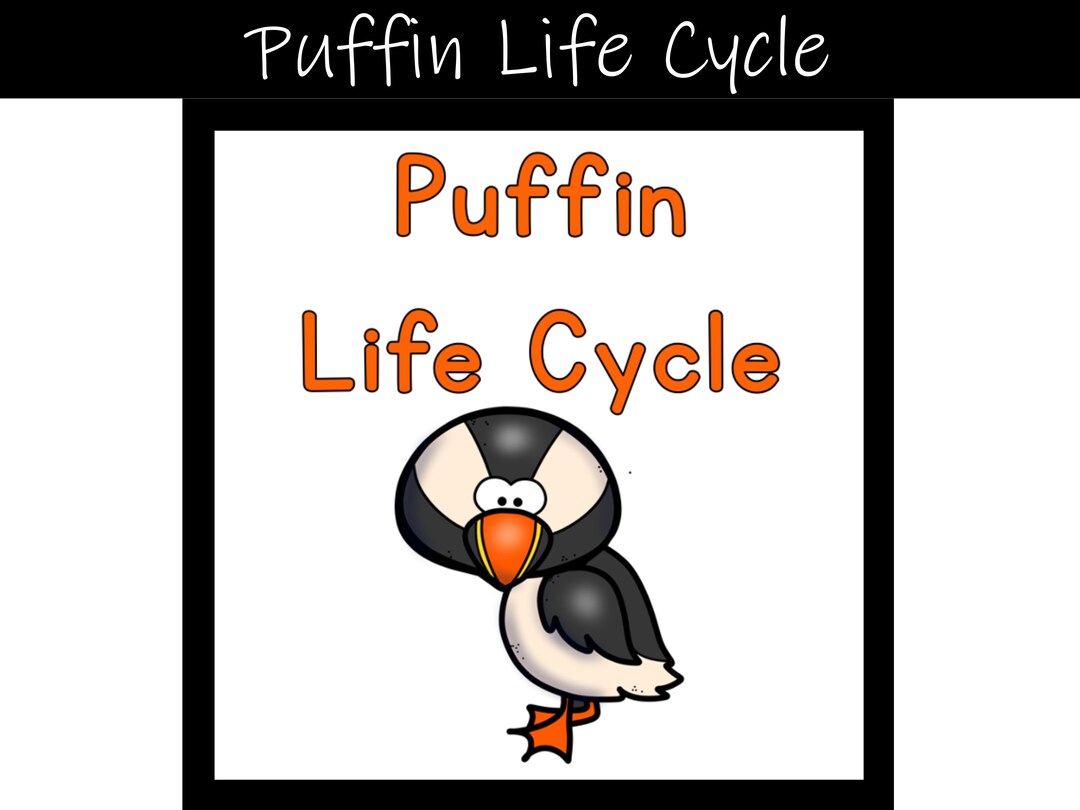 Puffin Life Cycle Digital Download Products Teacher Resources - Etsy