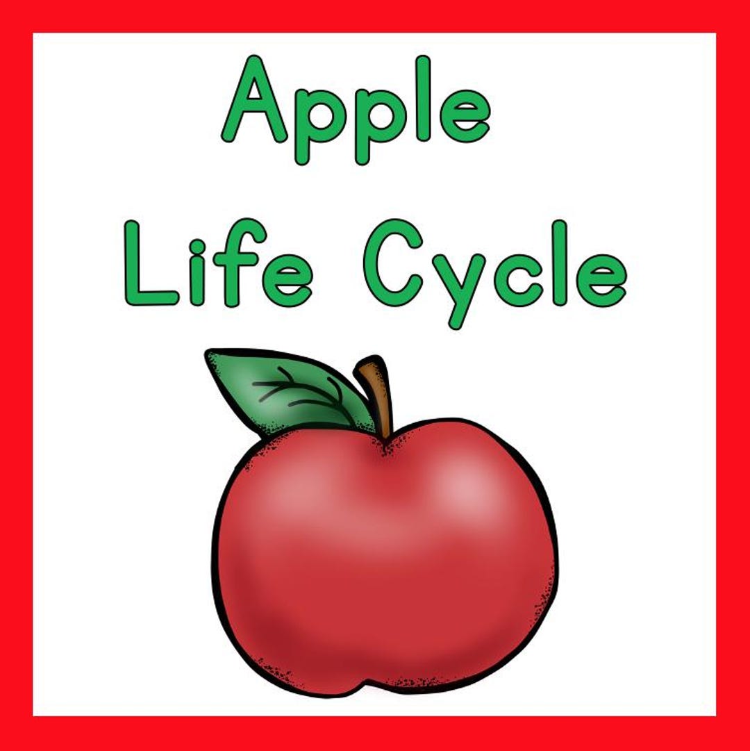 Apple Life Cycle | Digital Download Products | Teacher Resources - Etsy