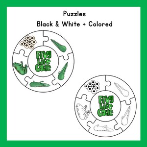 Frog Life Cycle | Digital Download Products | Teacher Resources - Etsy