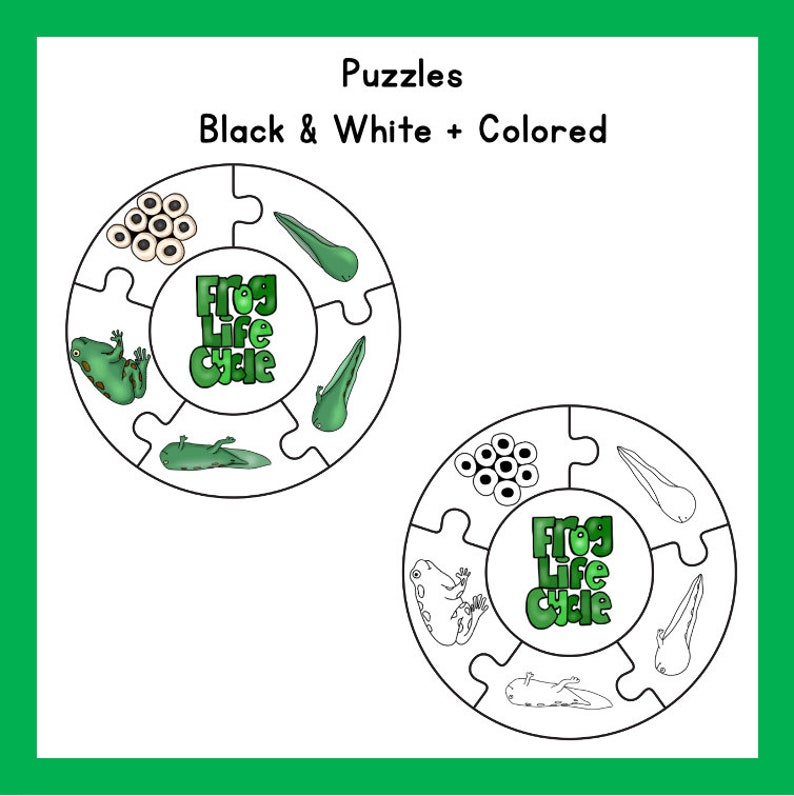 Frog Life Cycle | Digital Download Products | Teacher Resources - Etsy