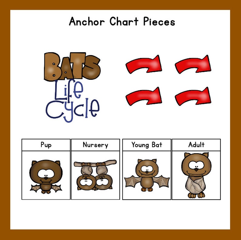Bat Life Cycle | Digital Download Products | Teacher Resources - Etsy