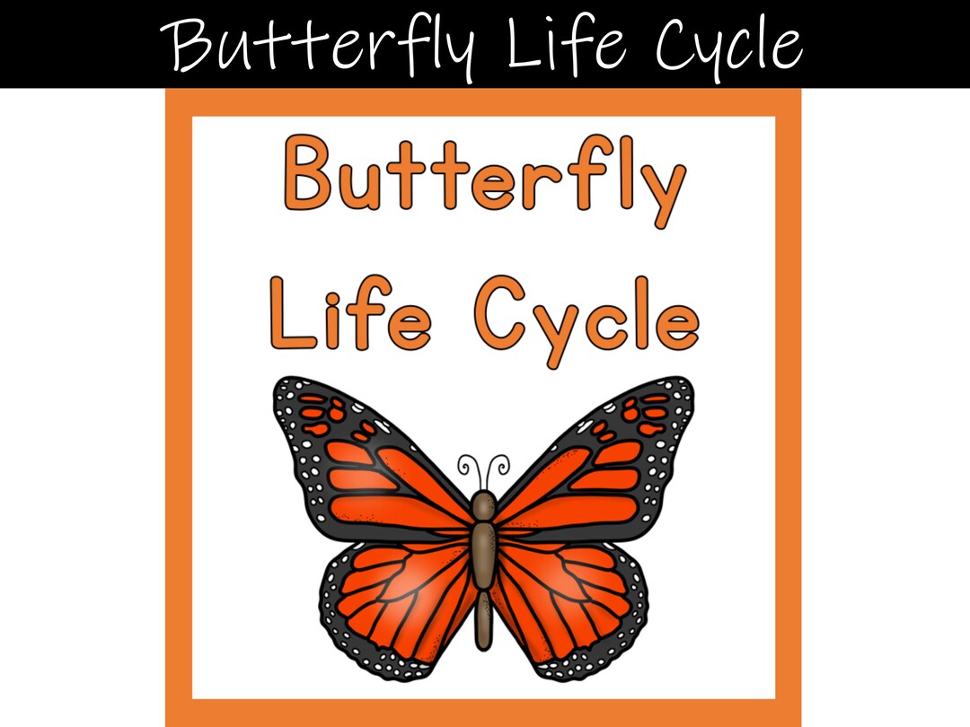 Butterfly Life Cycle Digital Download Products Teacher Resources - Etsy
