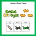 Cricket Life Cycle | Digital Download Products | Teacher Resources - Etsy