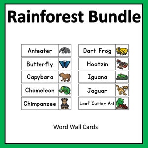 Rainforest Math & Literacy | Digital Download Products | Teacher ...