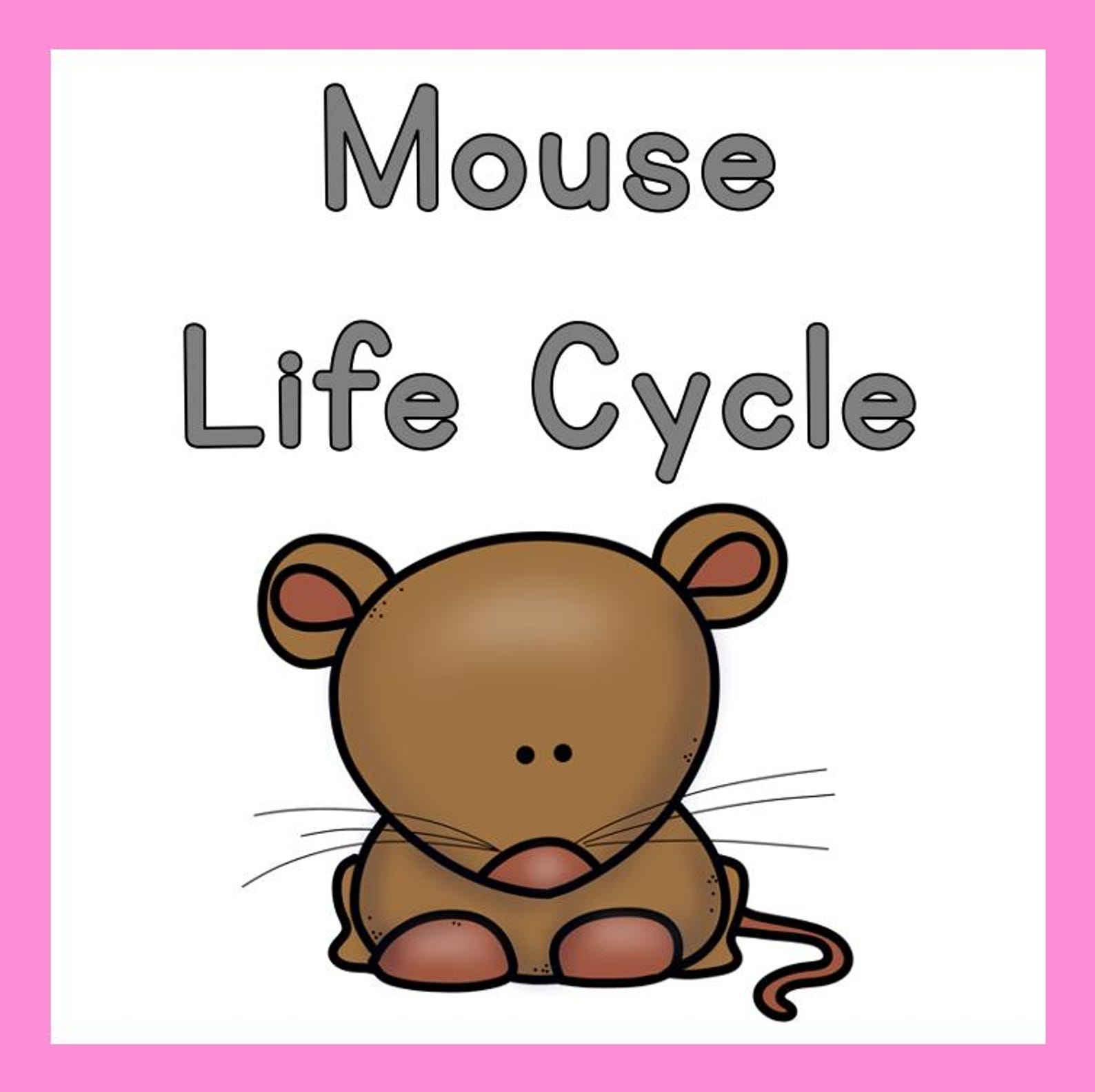 Mouse Life Cycle | Digital Download Products | Teacher Resources - Etsy