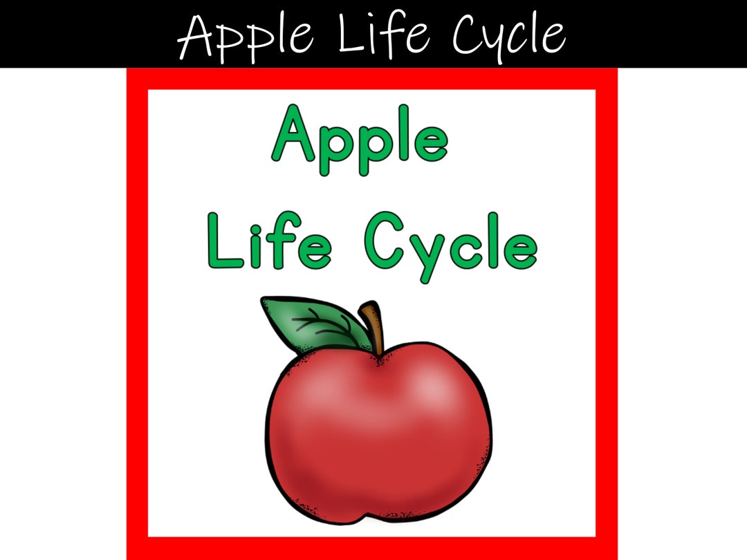 Apple Life Cycle Digital Download Products Teacher Resources - Etsy