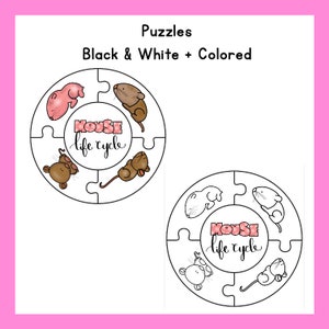 Mouse Life Cycle | Digital Download Products | Teacher Resources - Etsy