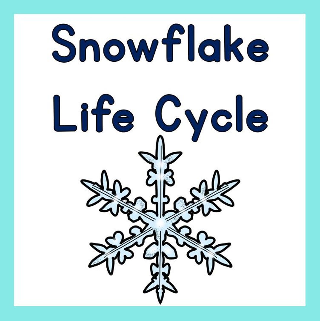 Snowflake Life Cycle | Digital Download Products | Teacher Resources - Etsy