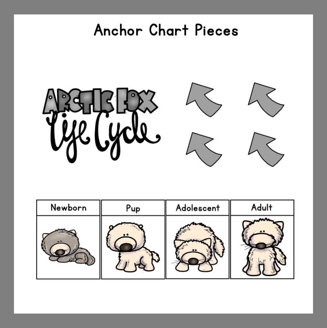 Arctic Fox Life Cycle | Digital Download Products | Teacher Resources ...