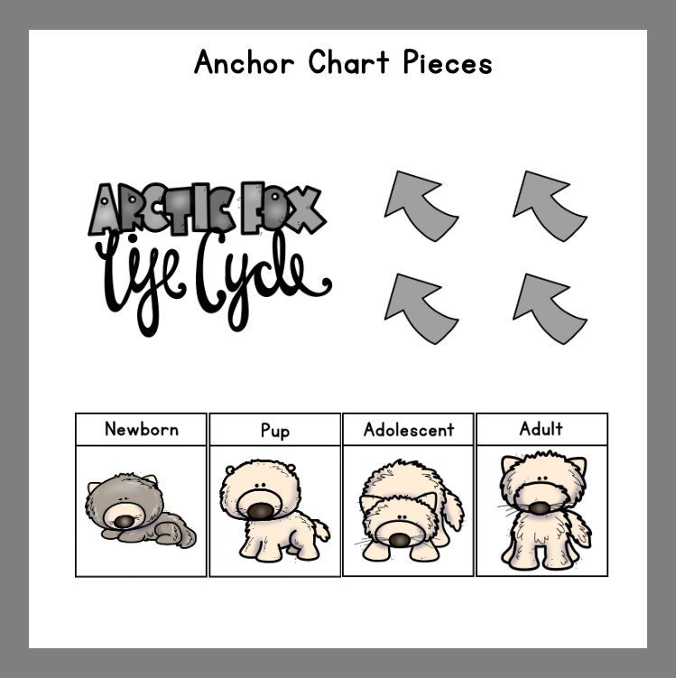 Arctic Fox Life Cycle | Digital Download Products | Teacher Resources ...