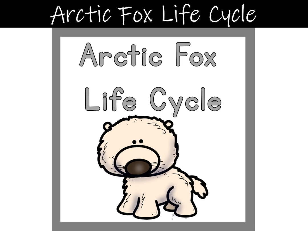 Arctic Fox Life Cycle Digital Download Products Teacher Resources - Etsy