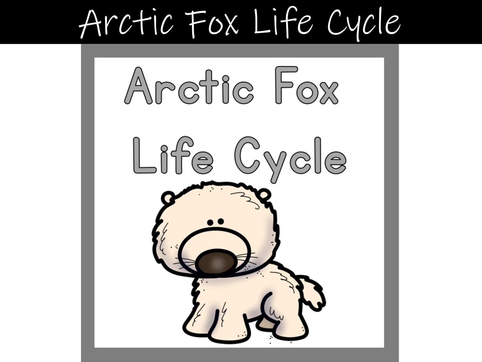 Arctic Fox Life Cycle Digital Download Products Teacher Resources - Etsy