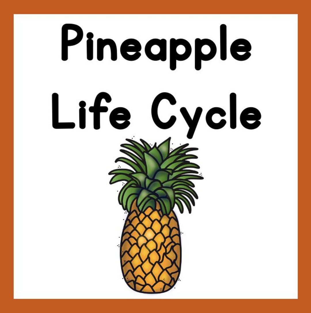 Pineapple Life Cycle | Digital Download Products | Teacher Resources - Etsy