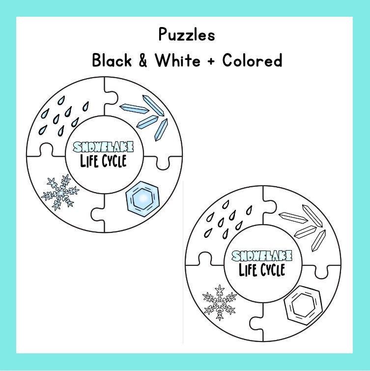 Snowflake Life Cycle | Digital Download Products | Teacher Resources - Etsy