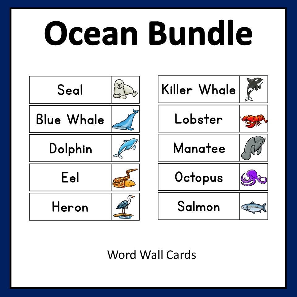 Ocean Math & Literacy | Digital Download Products | Teacher Resources ...