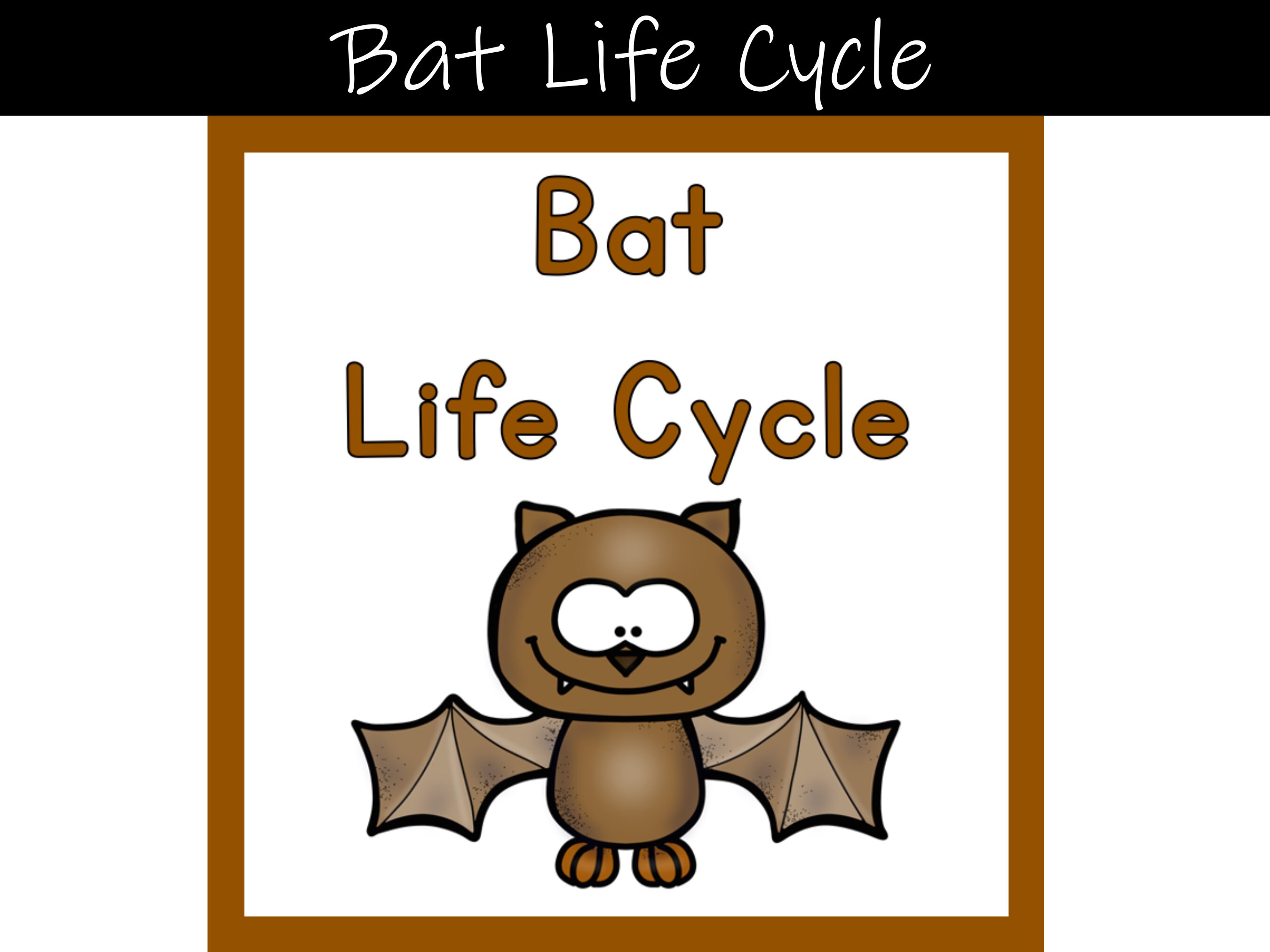 Bat Life Cycle Digital Download Products Teacher Resources - Etsy