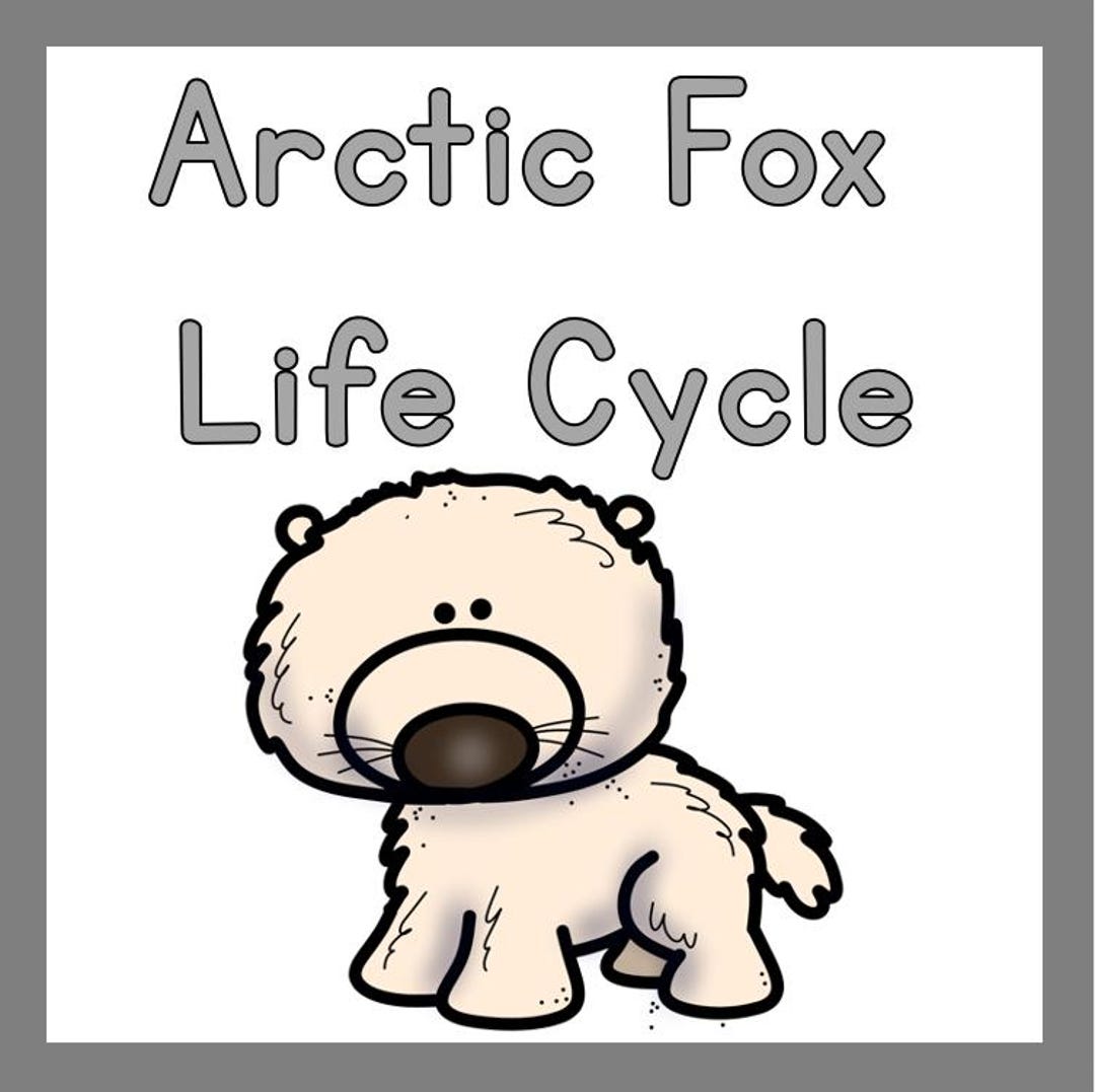 Arctic Fox Life Cycle | Digital Download Products | Teacher Resources ...