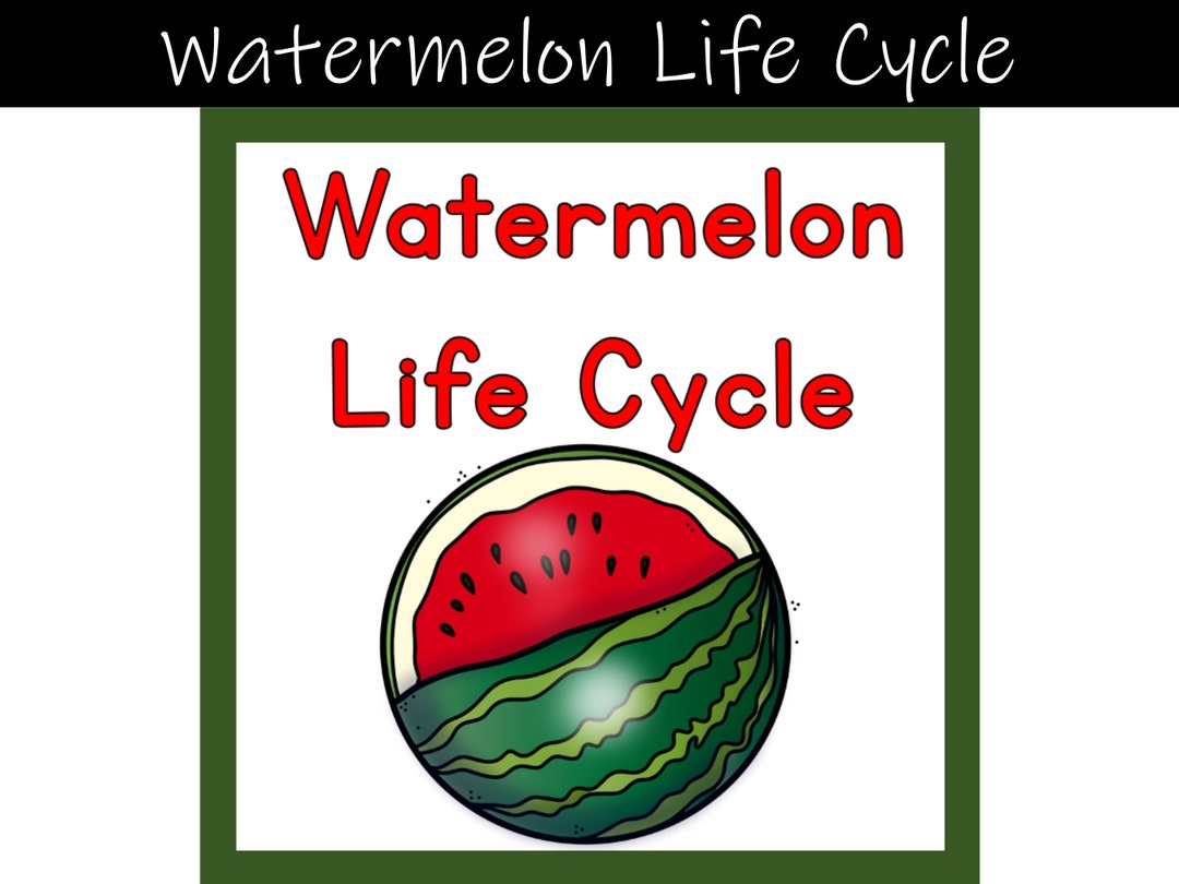 Watermelon Life Cycle Digital Download Products Teacher Resources - Etsy