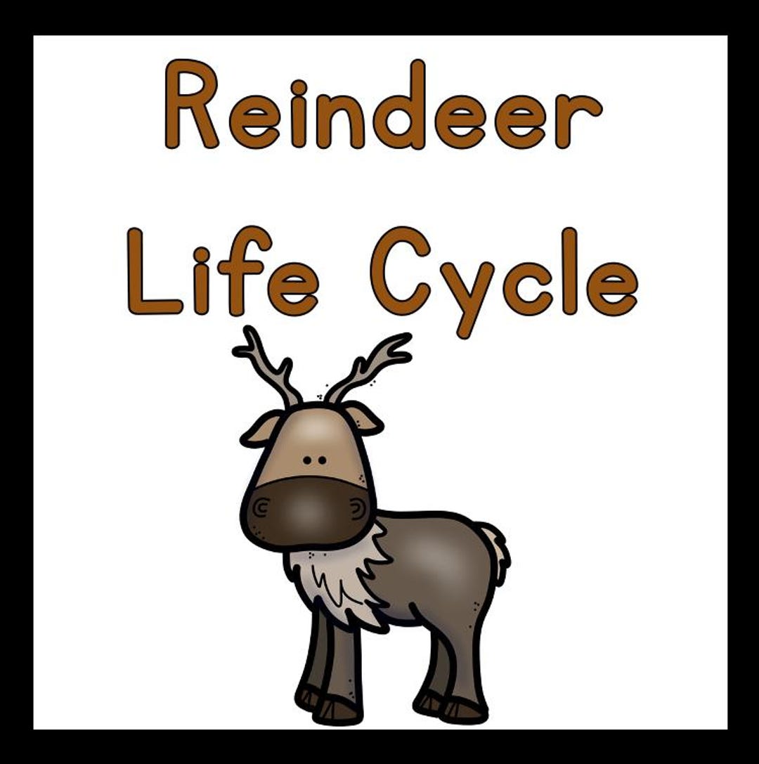Reindeer Life Cycle | Digital Download Products | Teacher Resources - Etsy