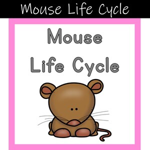 Mouse Life Cycle Digital Download Products Teacher Resources - Etsy