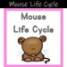 Mouse Life Cycle Digital Download Products Teacher Resources - Etsy