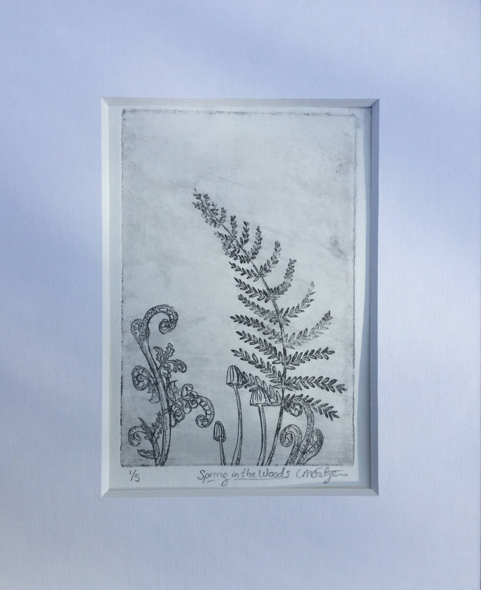 Zinc Plate Etching of Ferns and Mushroomsspring in the - Etsy