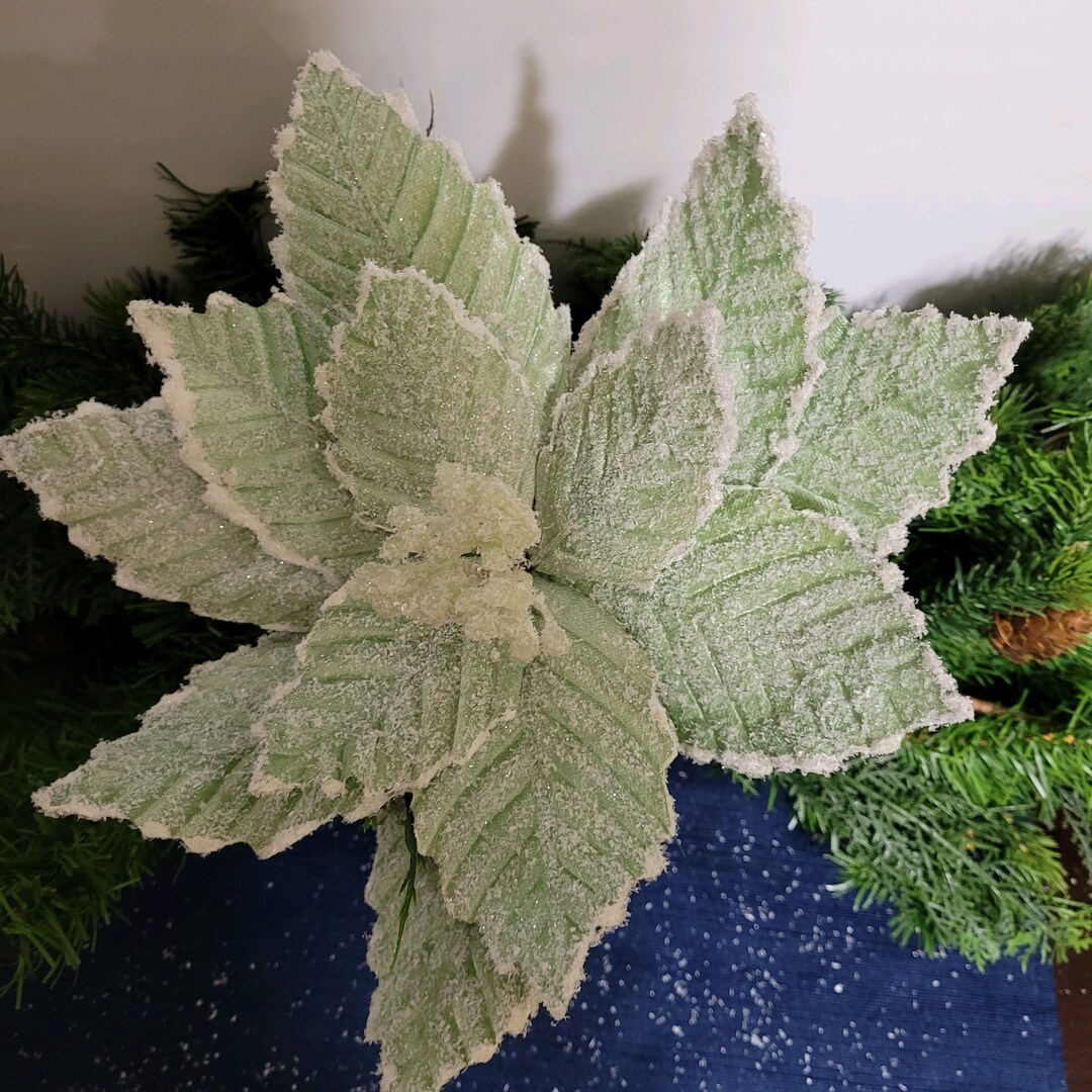 Mint Green Sugared Poinsettia Christmas Pick 20 Inch Stem by Regency - Etsy