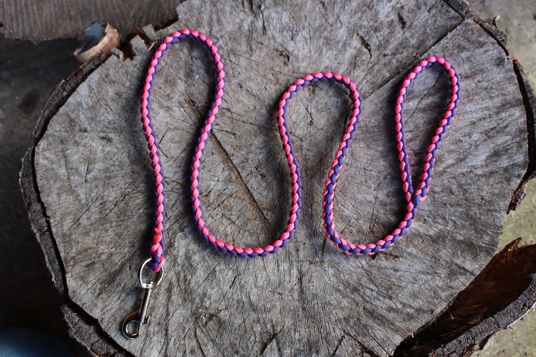 CUSTOM Dog Lead - Etsy