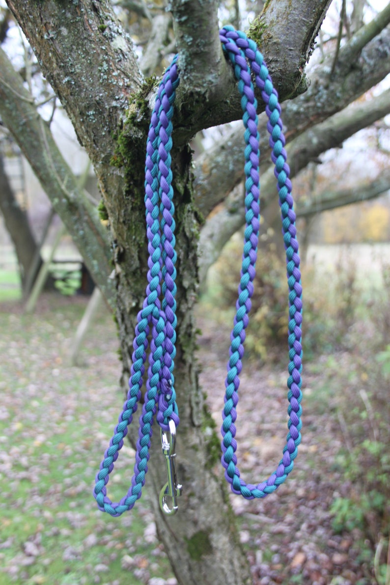 Purple and Teal Paracord Lead - Etsy