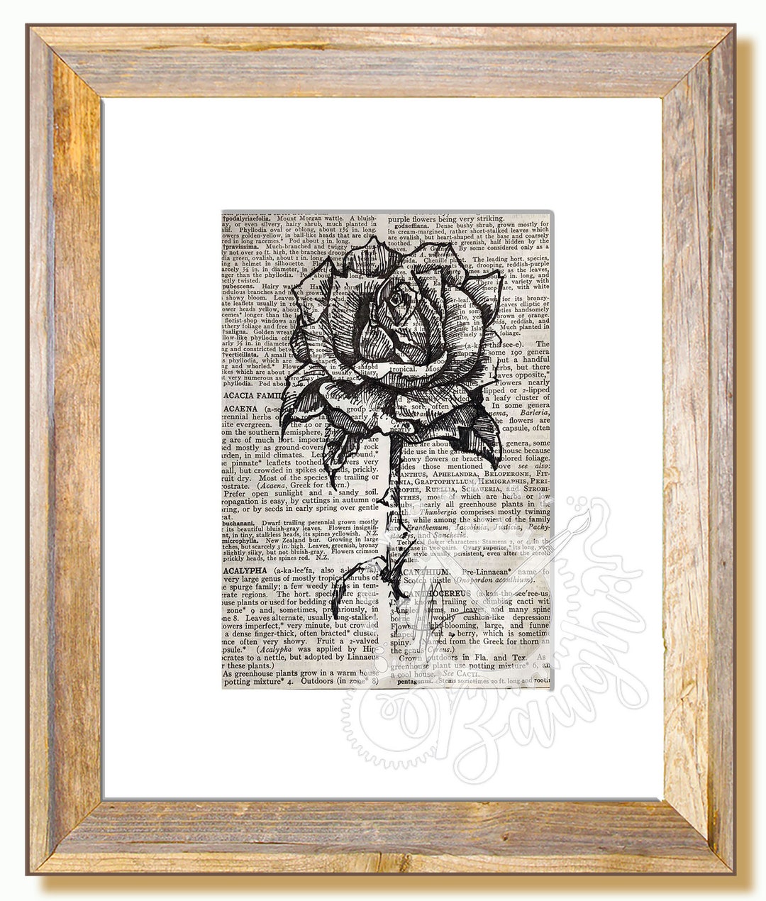 Original Pen and Ink Rose Drawing on Antique Book Page, 5x7 Matted to ...