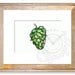 Hops 5x7 Print in 8x10 Mat, Hops Plant, Beer Making Gifts, Gifts for ...