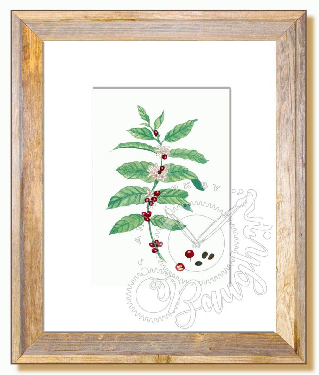 Coffee Plant Botanical 5x7 Print in 8x10 Mat, Botanical Print ...