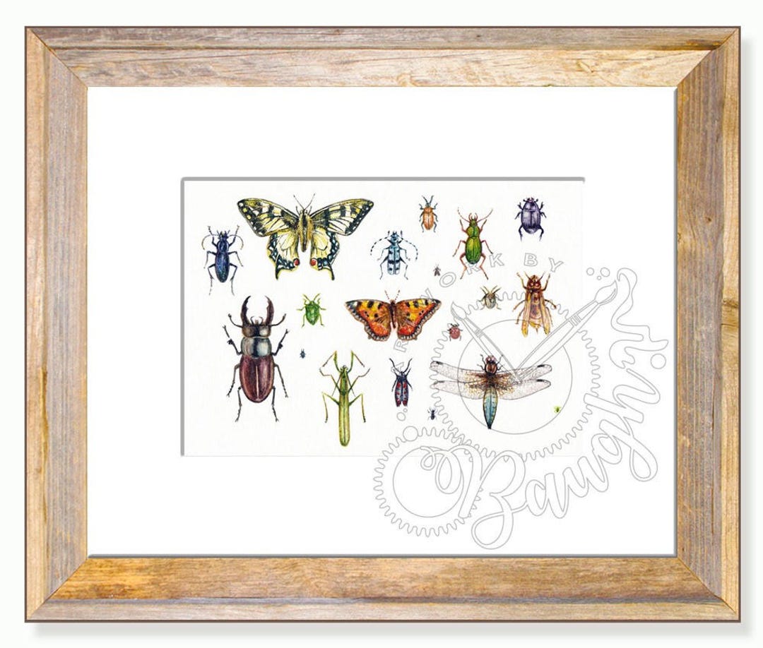 Bug’s Life Print, Insects, Insect Print, Natural History Print ...