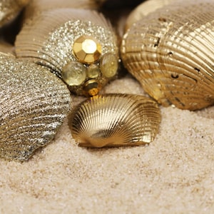Gold Seashell Decor | Set of 10 - Etsy