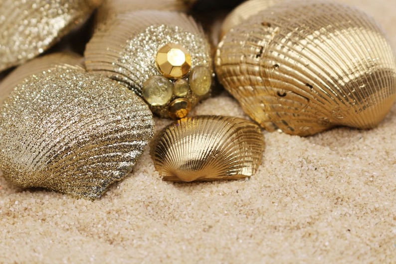 Gold Seashell Decor | Set of 10 - Etsy