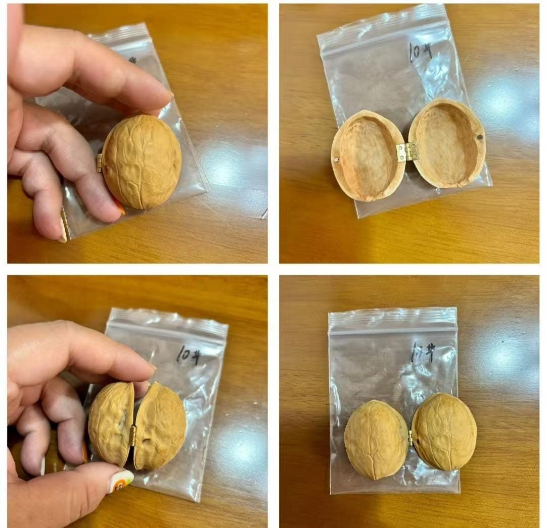 Walnut Shell Box Tiny House Dollhouse DIY Tiny House Miniature Doll ...