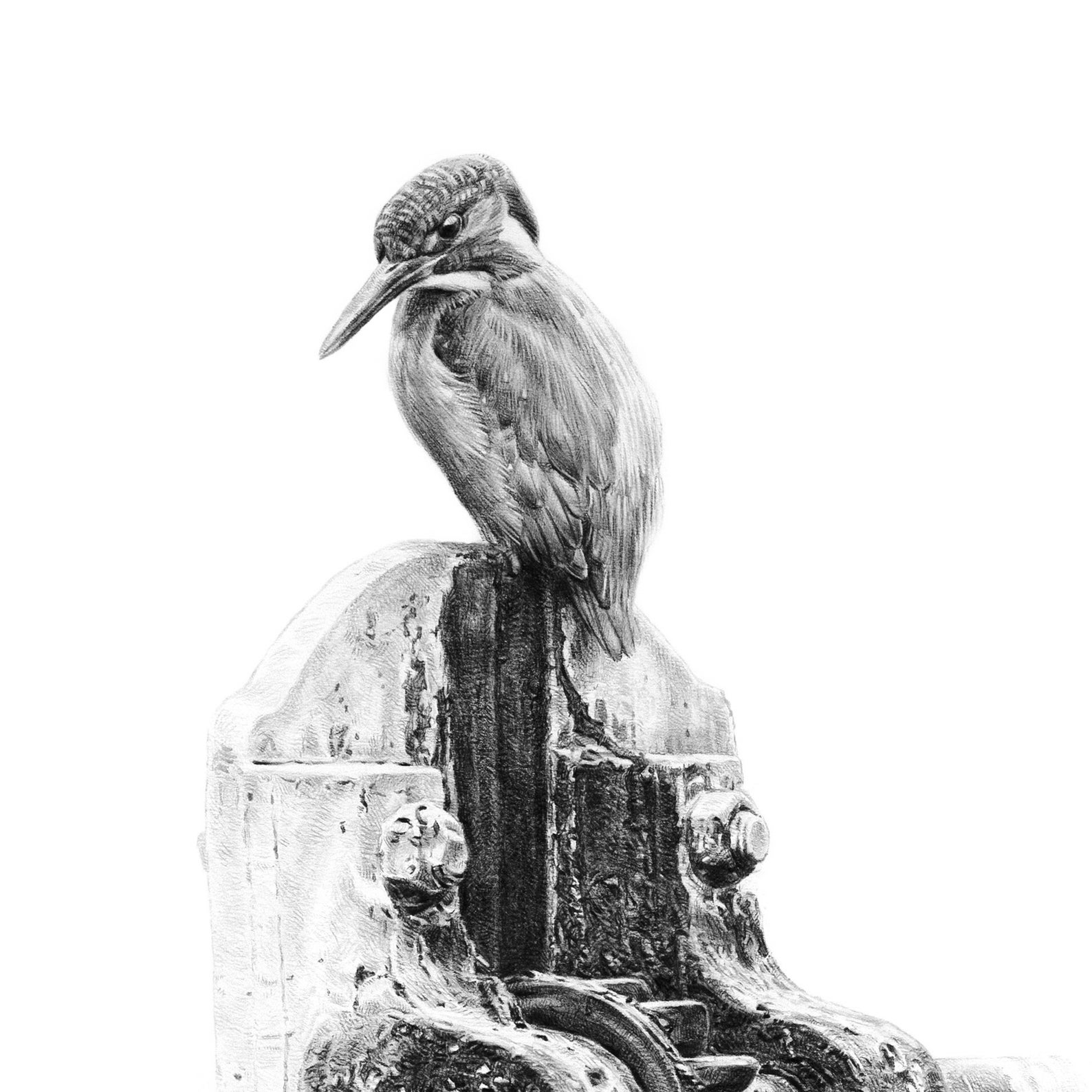 Kingfisher & Lock Gate A2 Signed Fine Art Print by Artist Jonathan ...