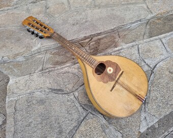 Rare Natural Turtle Shell Natural Big Turtle Shell Turtle - Etsy