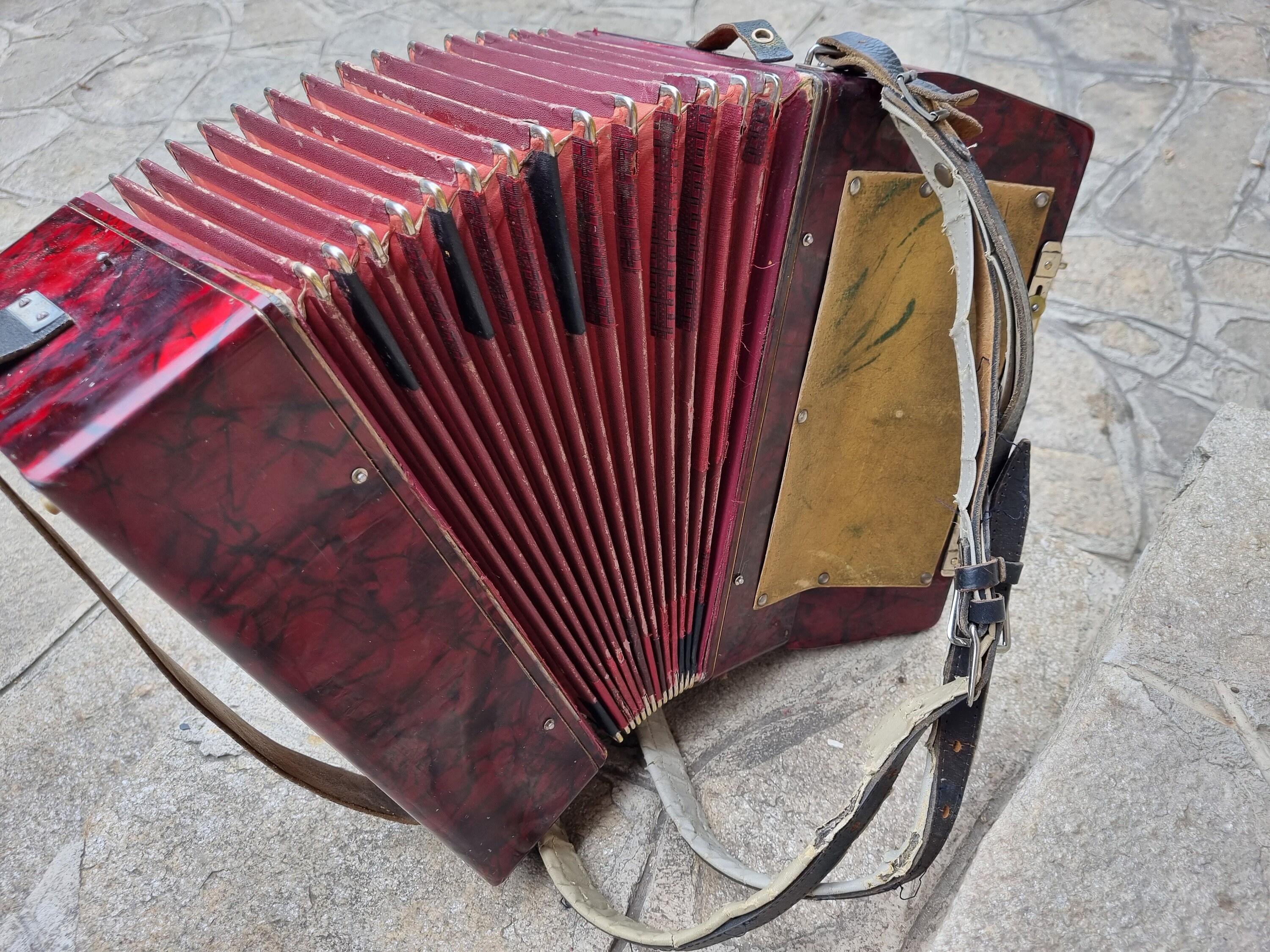 Rare Germany Accordion Fcholer Luxus Vintage Accordion Made - Etsy Canada