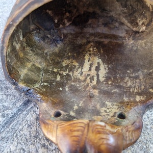 Rare Natural Turtle Shell Natural Big Turtle Shell Turtle - Etsy